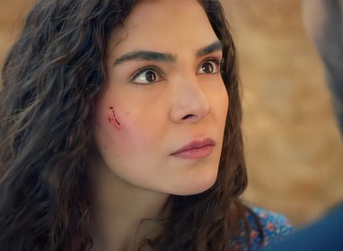 Кадры - Ветреный